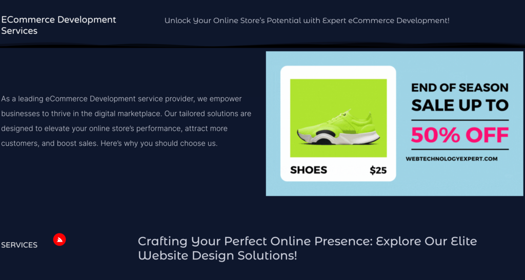 Ecommerce Development Services Web Technology Expert
